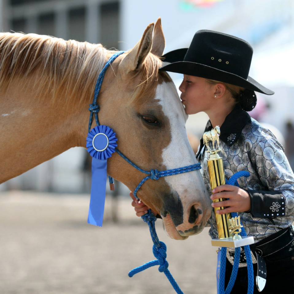 The NJ State Fair / Sussex County Farm and Horse Show – Family Promise ...