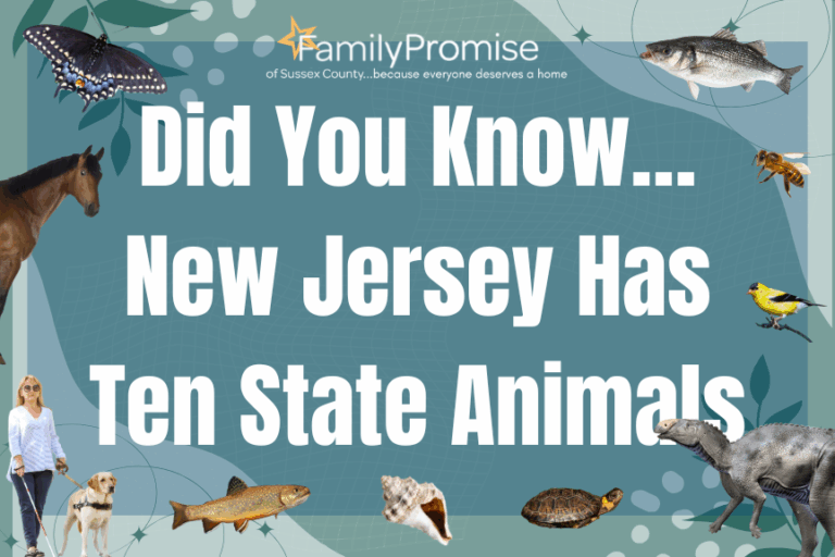 Did You Know…New Jersey Has Ten State Animals – Family Promise of ...